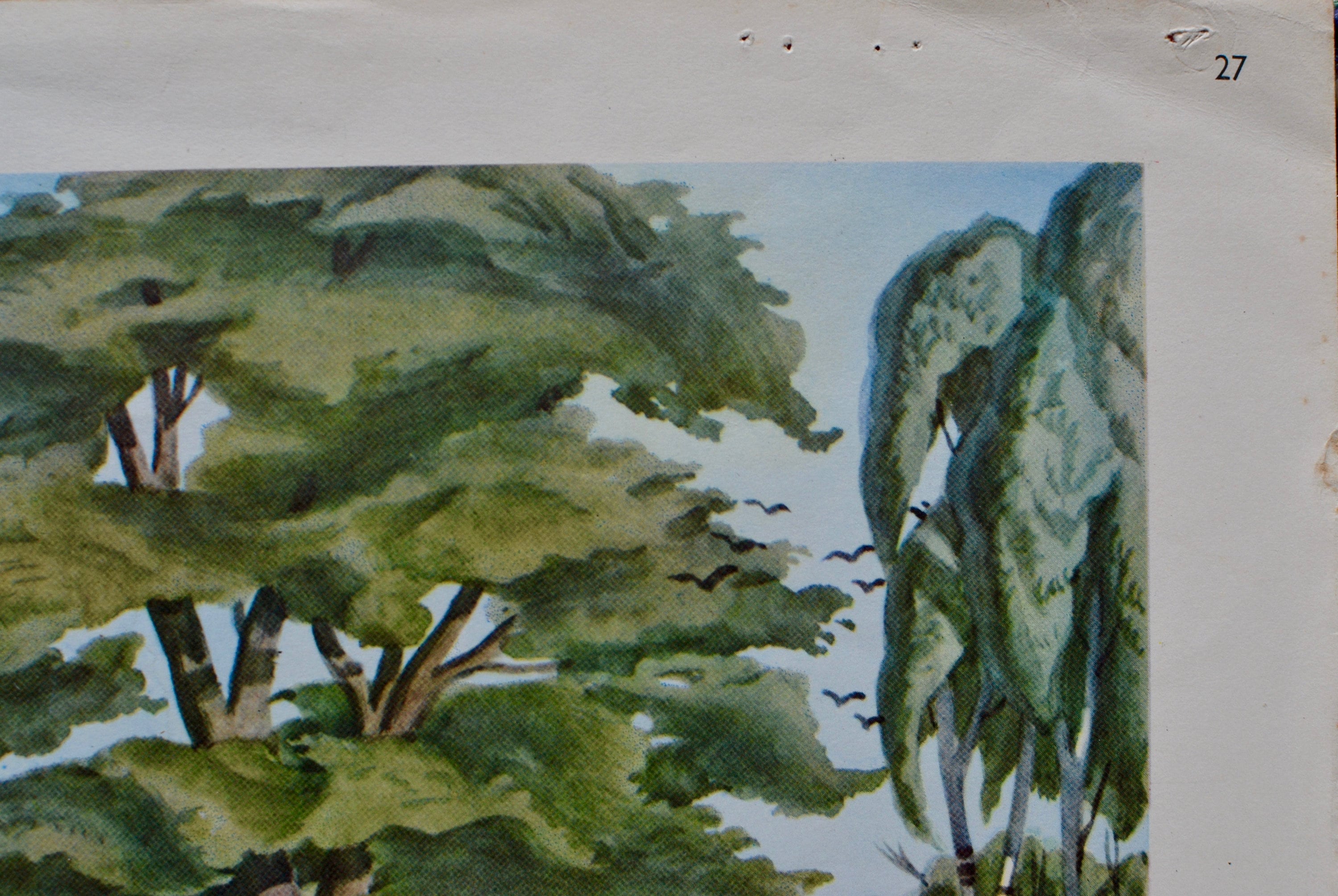 Vintage Macmillan History Lithograph Poster 14th Century - Etsy Israel