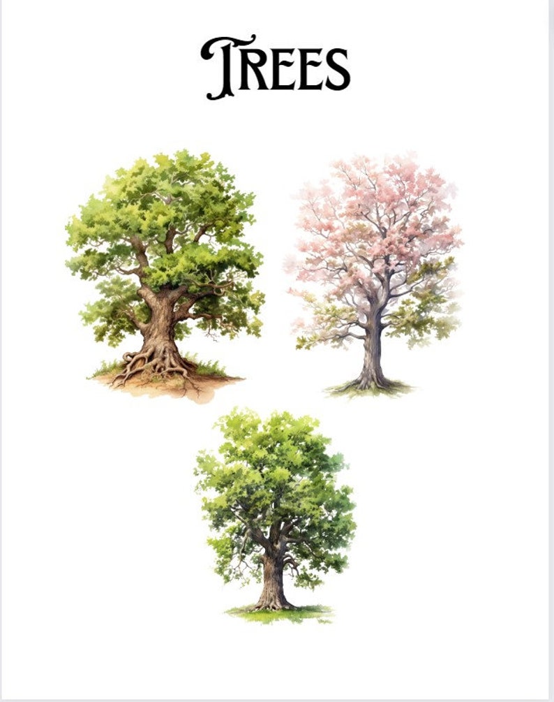 Family Tree Clipart Family Tree Graphics Design Your Own - Etsy