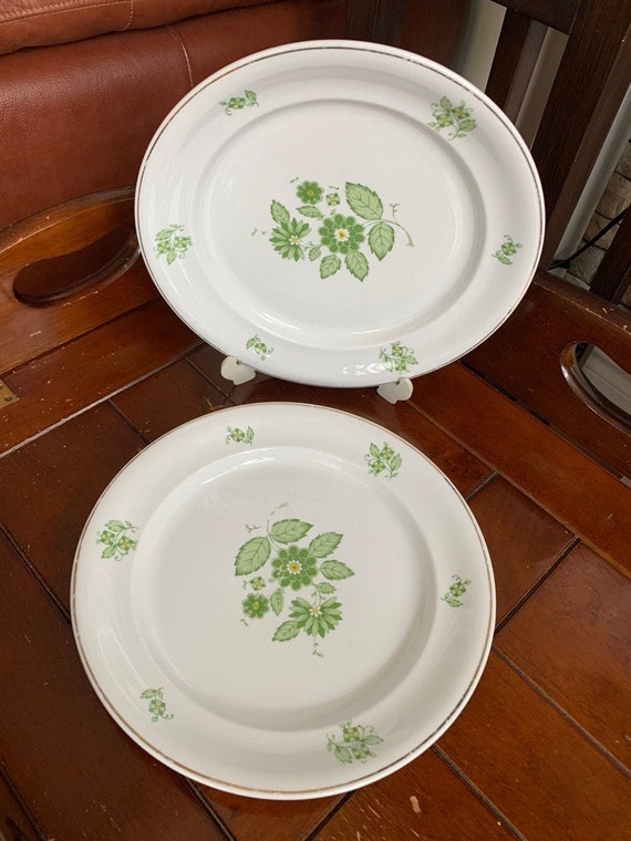 Two Hand Painted Hungarian Floral Pattern 1831 Hollohaza | Etsy
