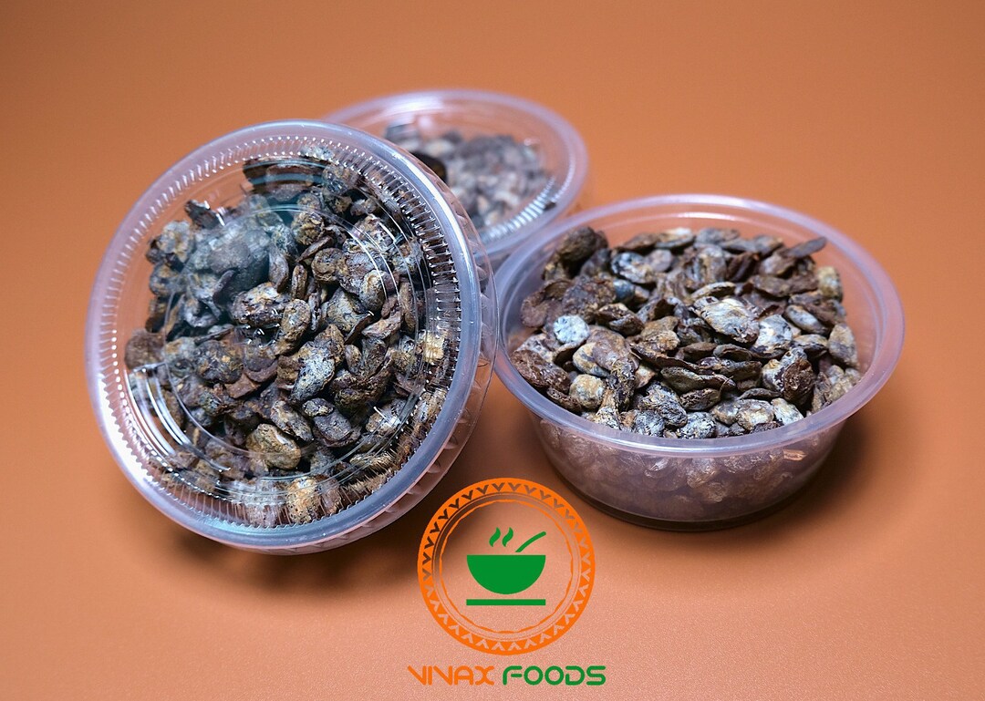 Dried Organic African Locust Bean/ugba/iru/ugba/carob Bean/dawa Dawa - Etsy
