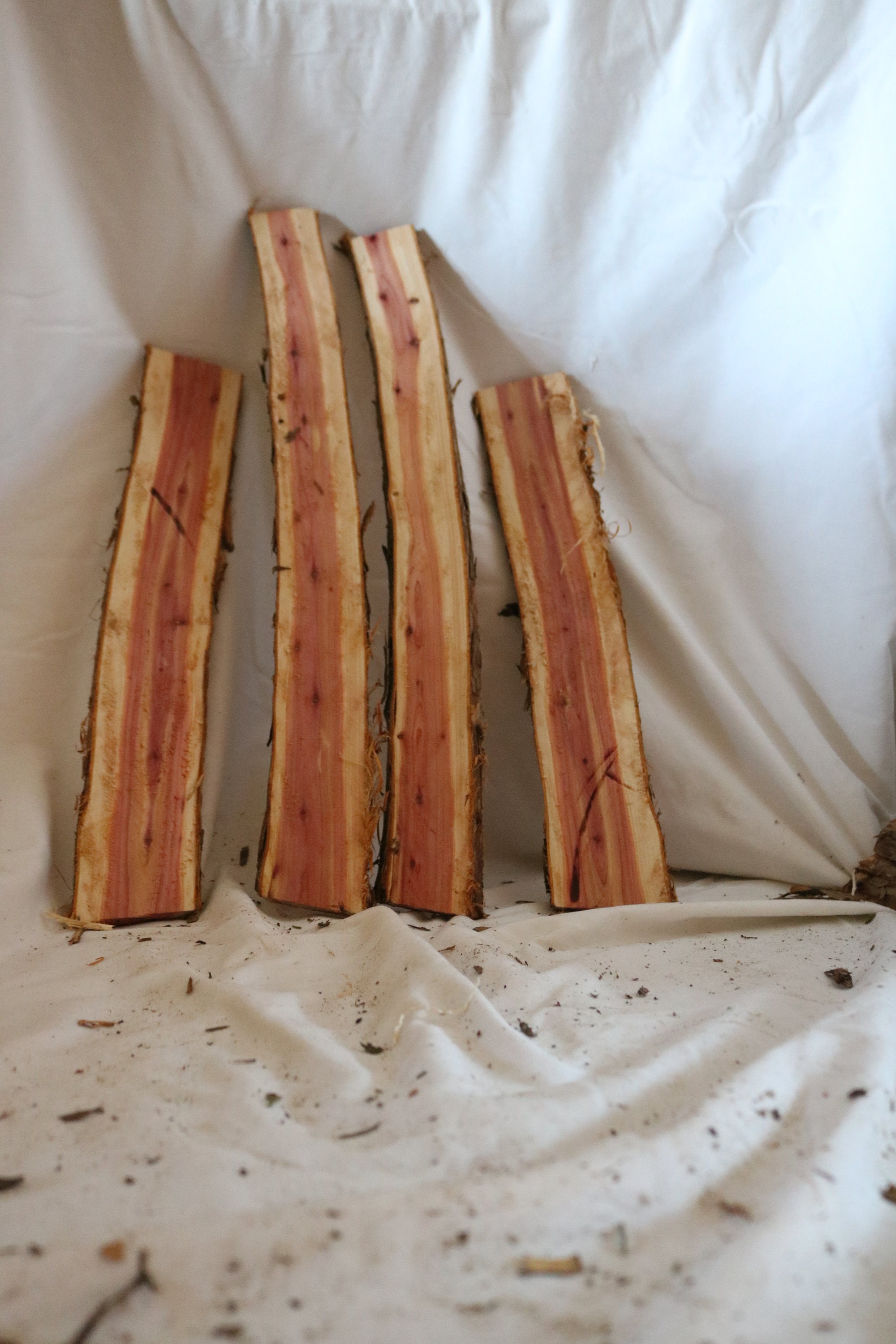 Beautiful Eastern Red Cedar Beautiful Aromatic 2-2.5" Wide 3/4" Thick ...