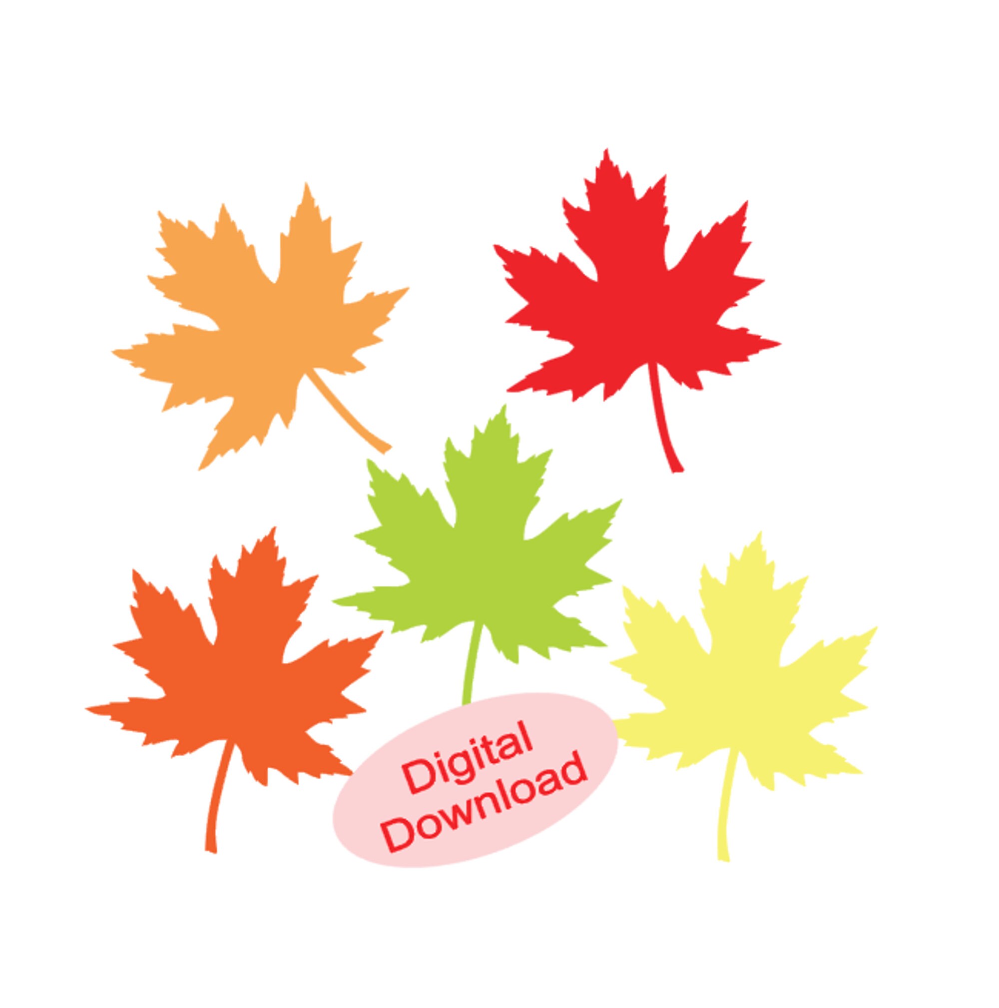 Fall Leaves SVG Thanksgiving Colored Leaves Autumn Leaves SVG - Etsy