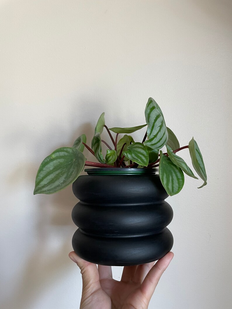 Bubble Planter Bubbly Pot Flower Pot Home Decor House - Etsy