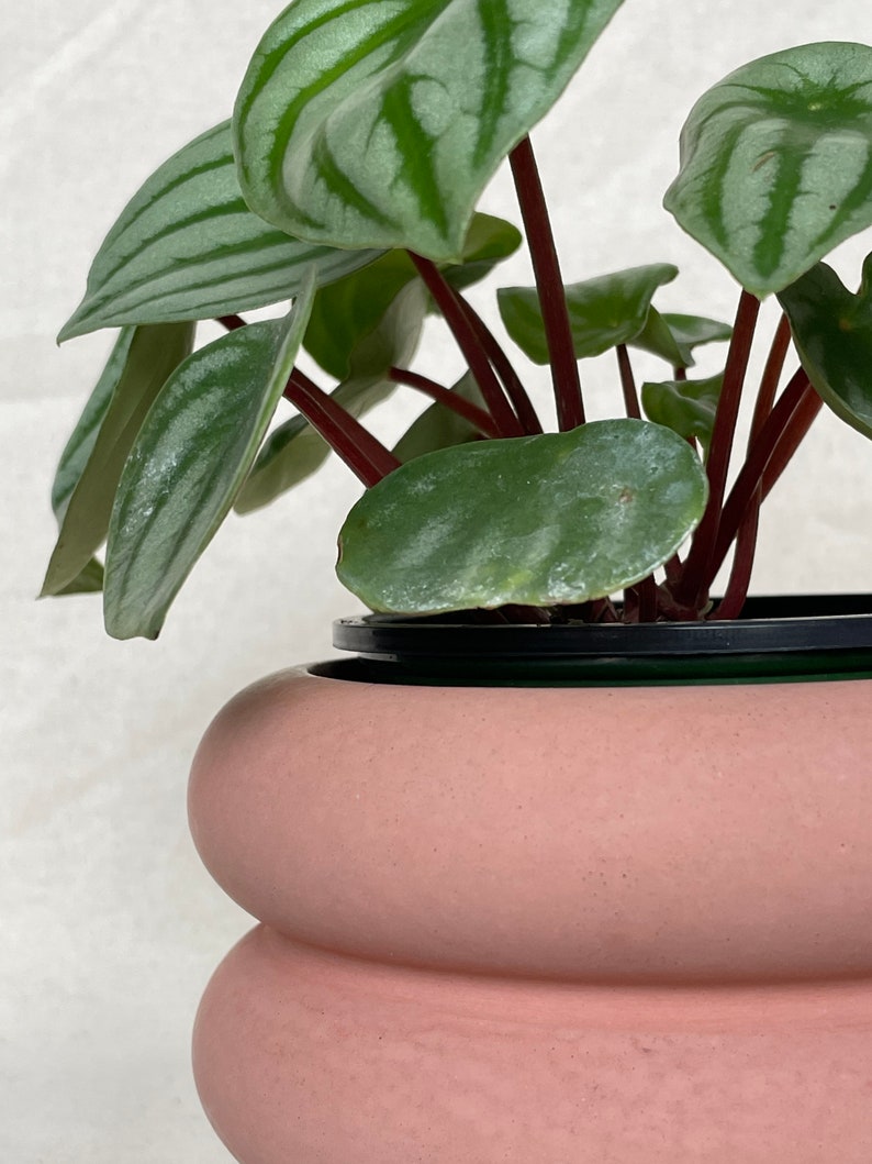 Bubble Planter Bubbly Pot Flower Pot Home Decor House - Etsy