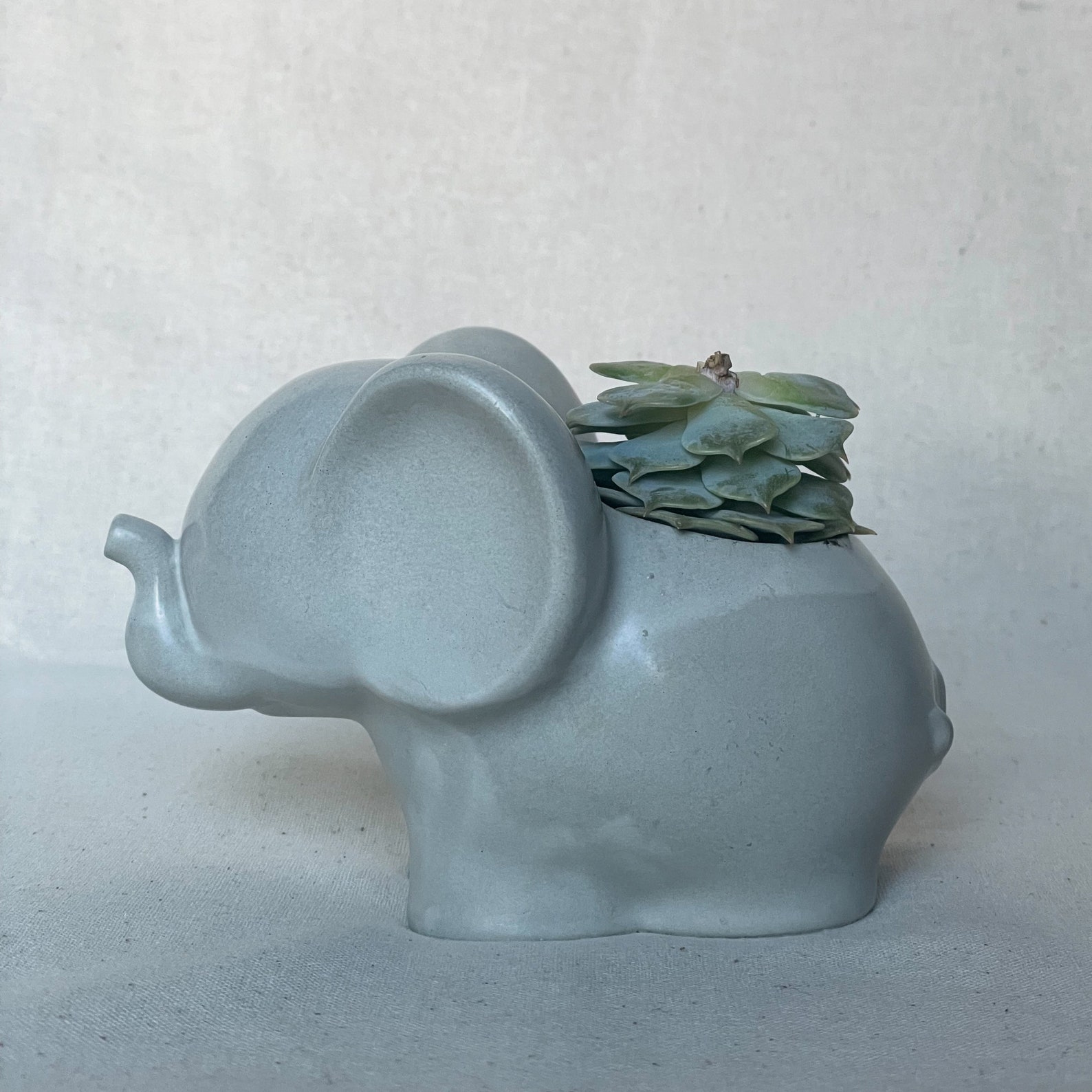 Adorable Elephant Planter Pot | House Warming Gift | Planters - Etsy
