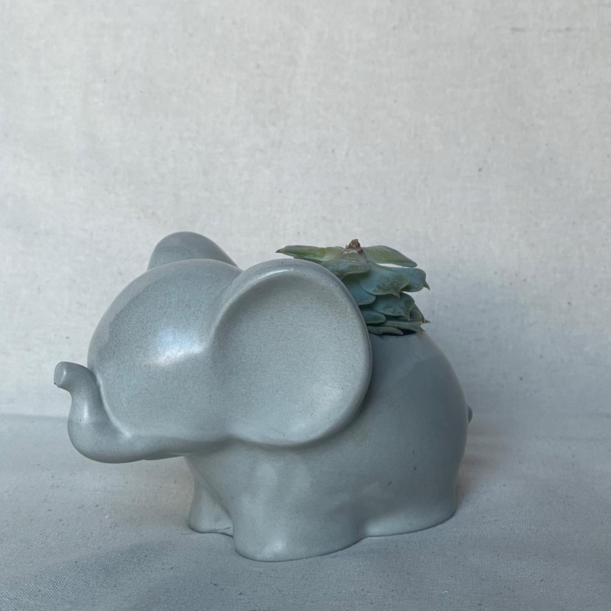 Adorable Elephant Planter Pot | House Warming Gift | Planters - Etsy