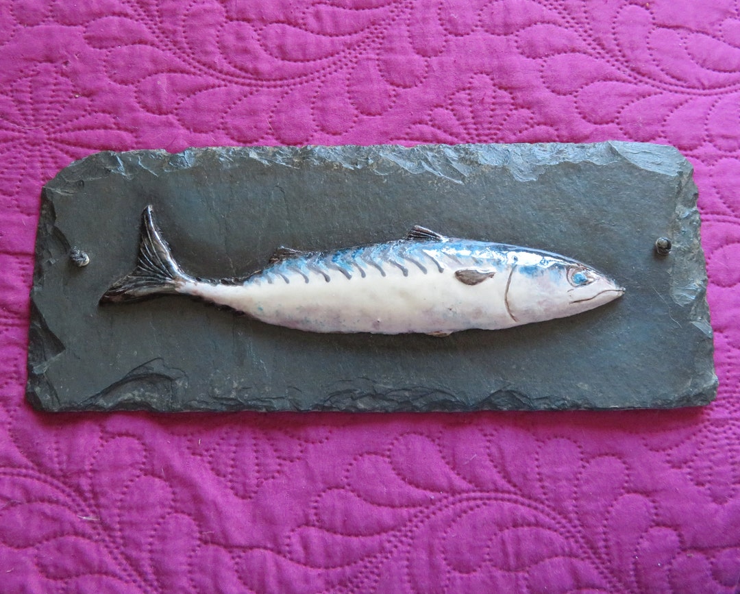Irish Made Pottery Mackerel Mounted on a Slate, Sea Fish Wall Décor ...