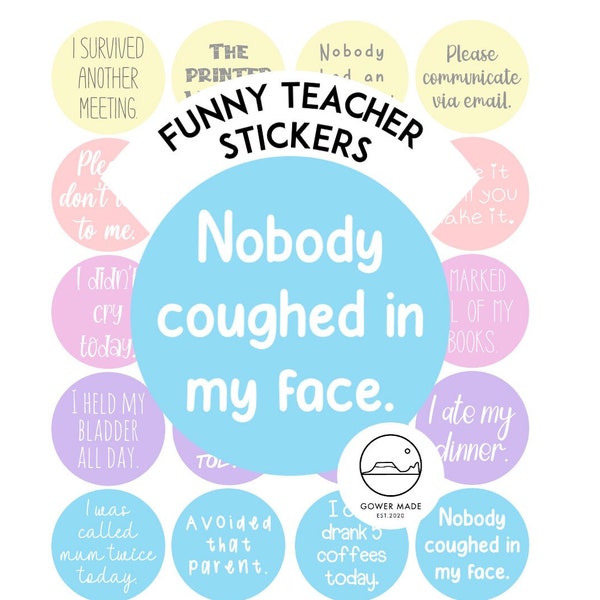 Funny Teacher Gift - Etsy