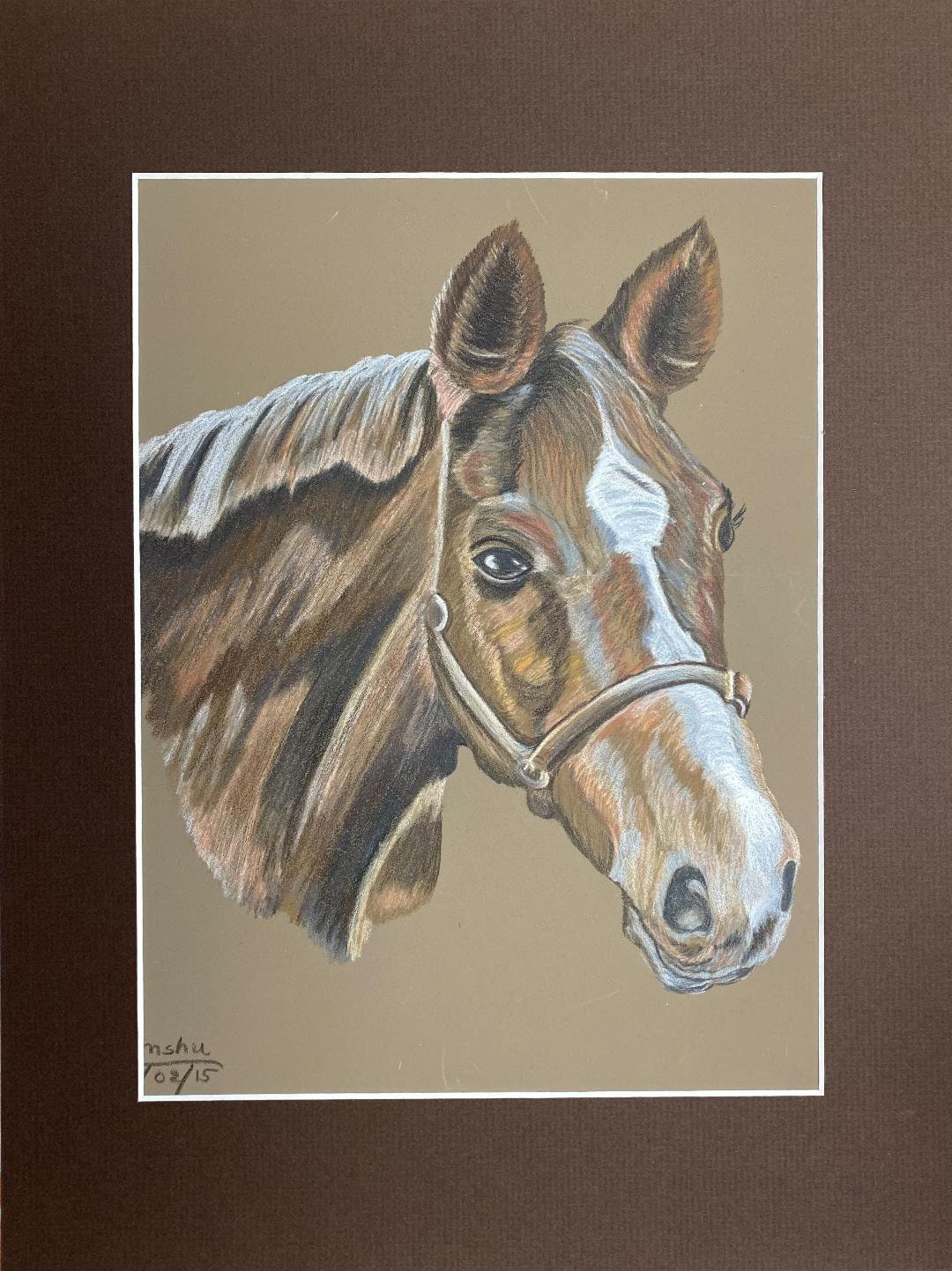 A Beautiful Colored Pencil Drawing of a Horse - Etsy