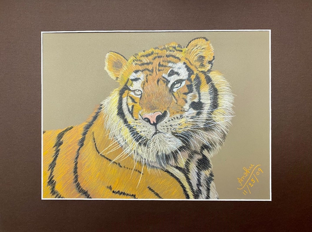 A Rare Colored Pencil Drawing of a Tiger - Etsy