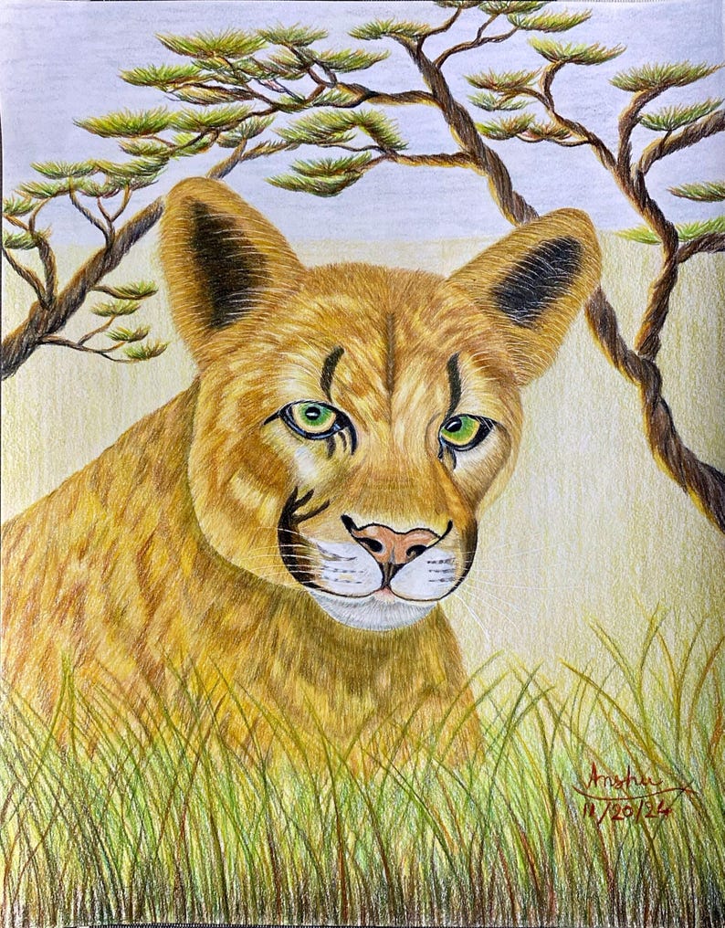 A Beautiful Colored Pencil Drawing of a Puma - Etsy