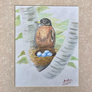 A Beautiful Colored Pencil Drawing of American Robin - Etsy