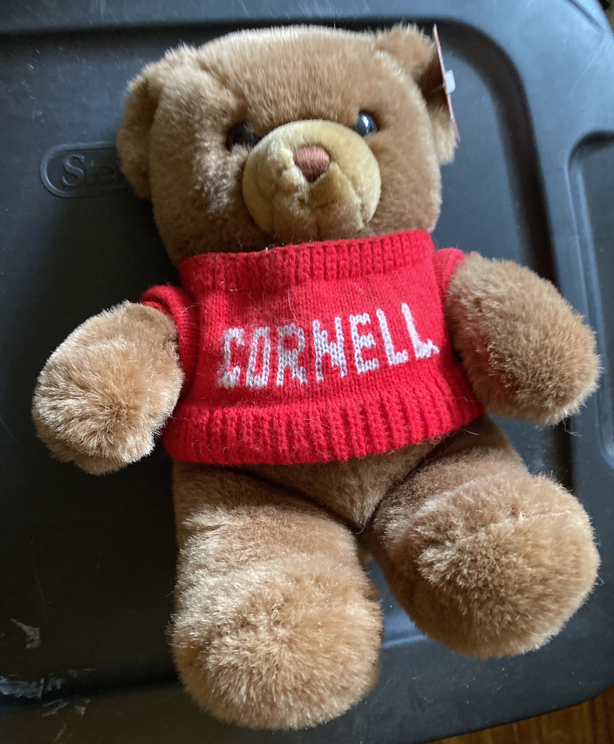 Cornell University Bear