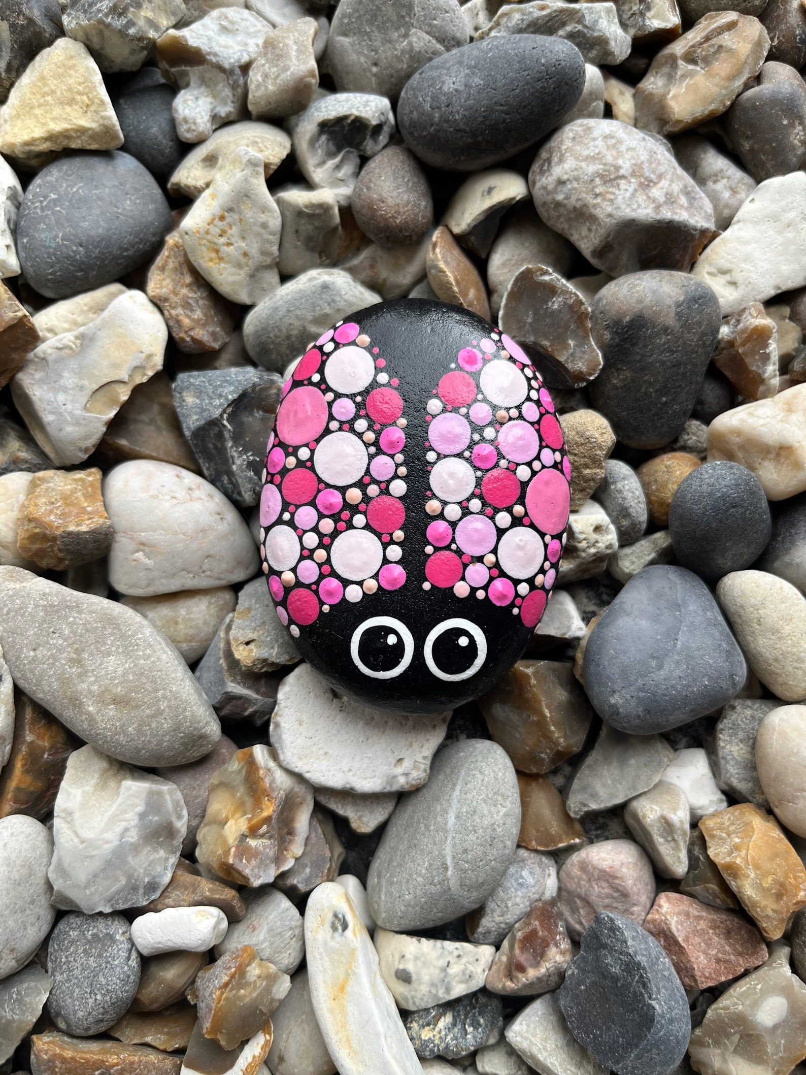 Hand Painted Polka Dot Ladybug Stone Painted Stones - Etsy