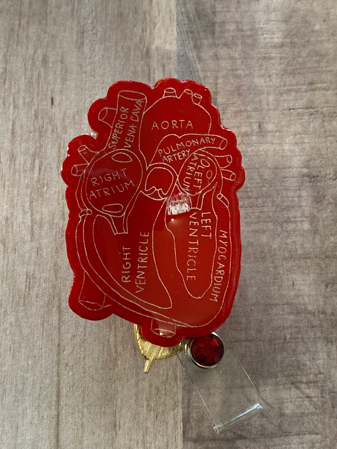 Labeled Anatomical Heart With Aortic Valve Badge Reel - Etsy