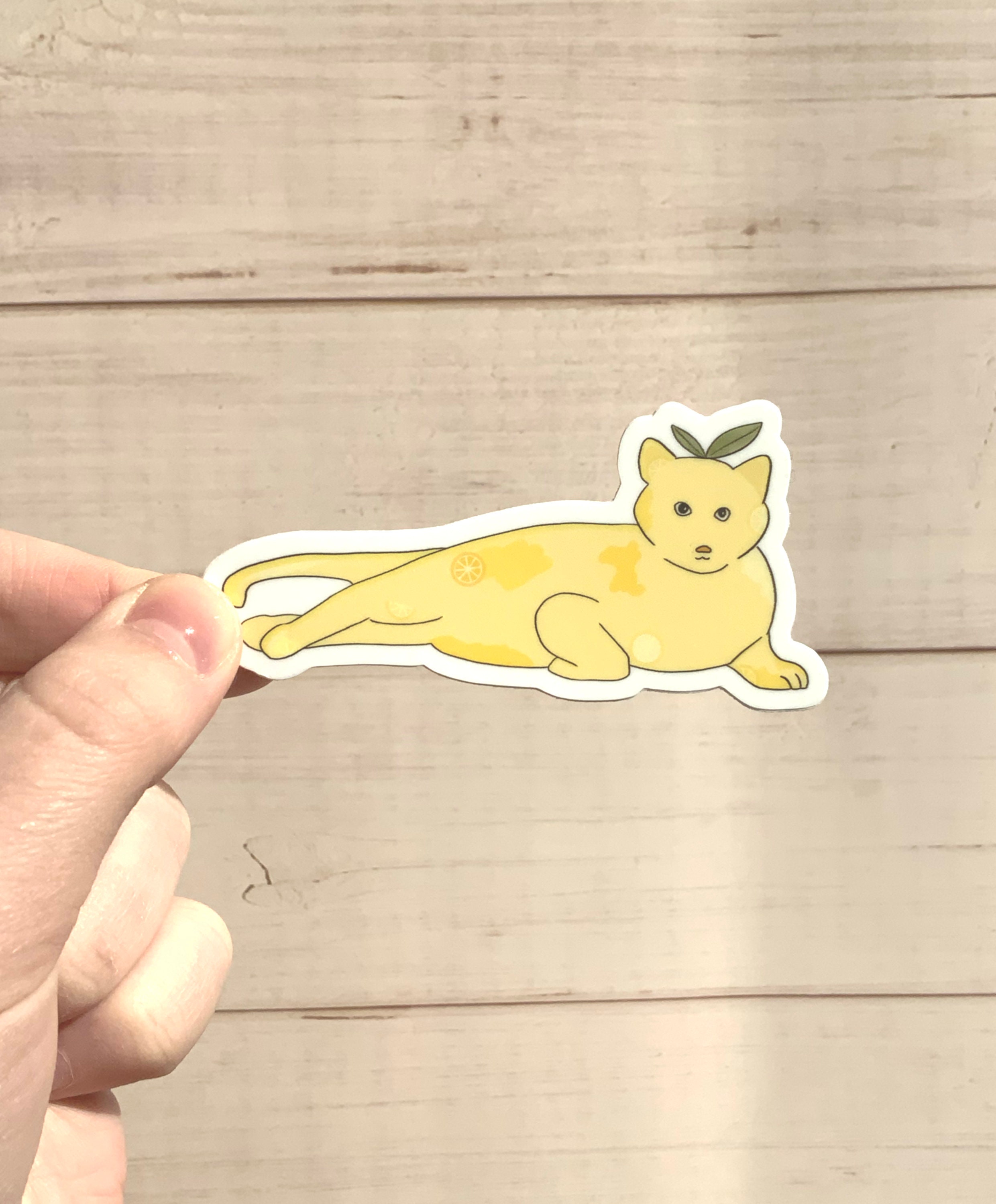 Lemon Cat Sticker Cute Sticker Perfect for Water Bottles - Etsy