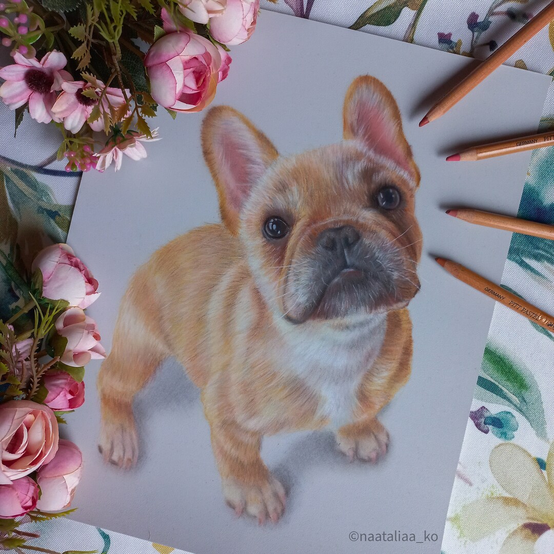 French Bulldog Original Portrait Drawing Pastel Pencil Animal Art - Etsy