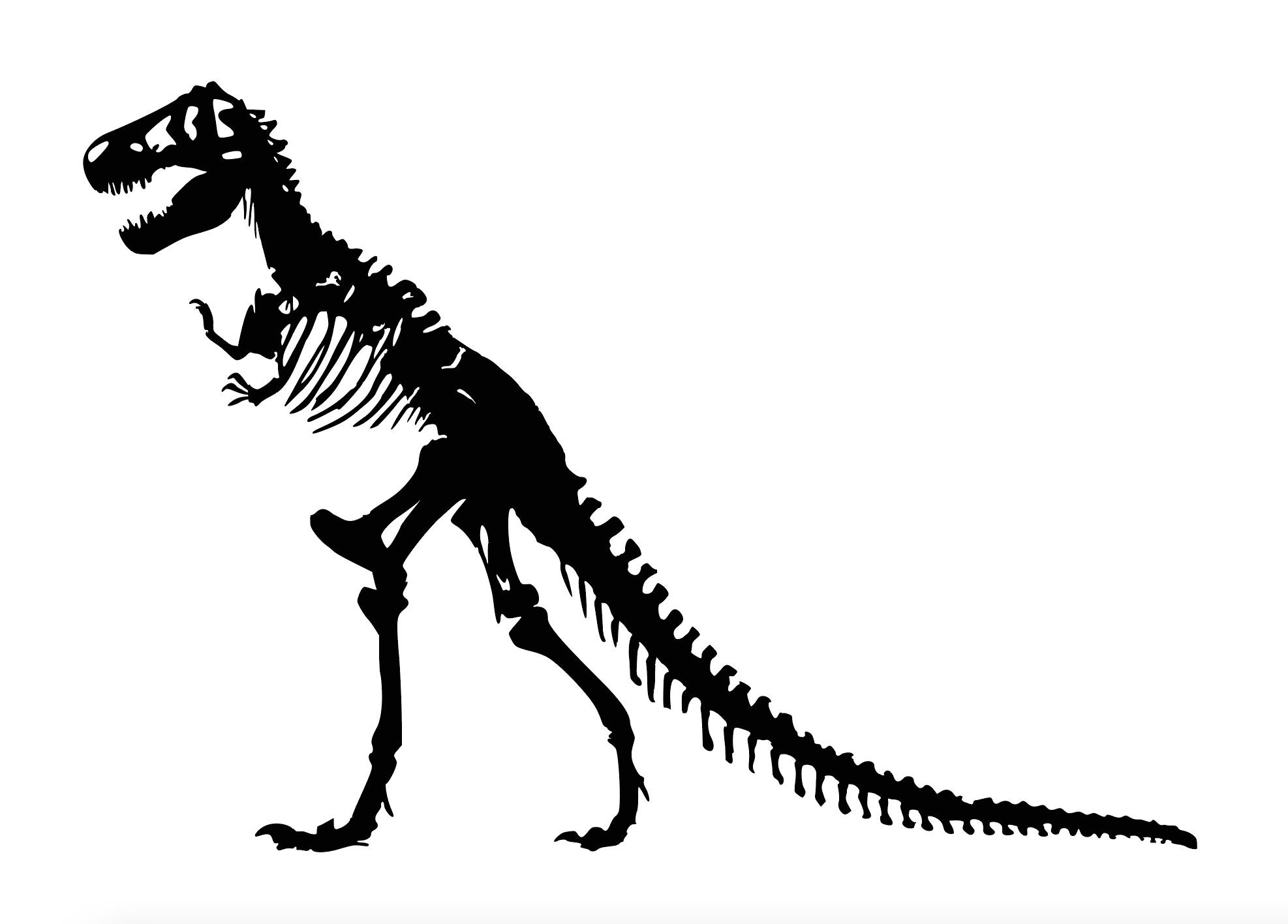 T Rex Skeleton Svg T Rex Svg Skeleton Svg T Rex Cut Etsy | My XXX Hot Girl T Rex Skeleton Svg T Rex Svg Skeleton Svg T Rex Cut Etsy | My XXX Hot Girl