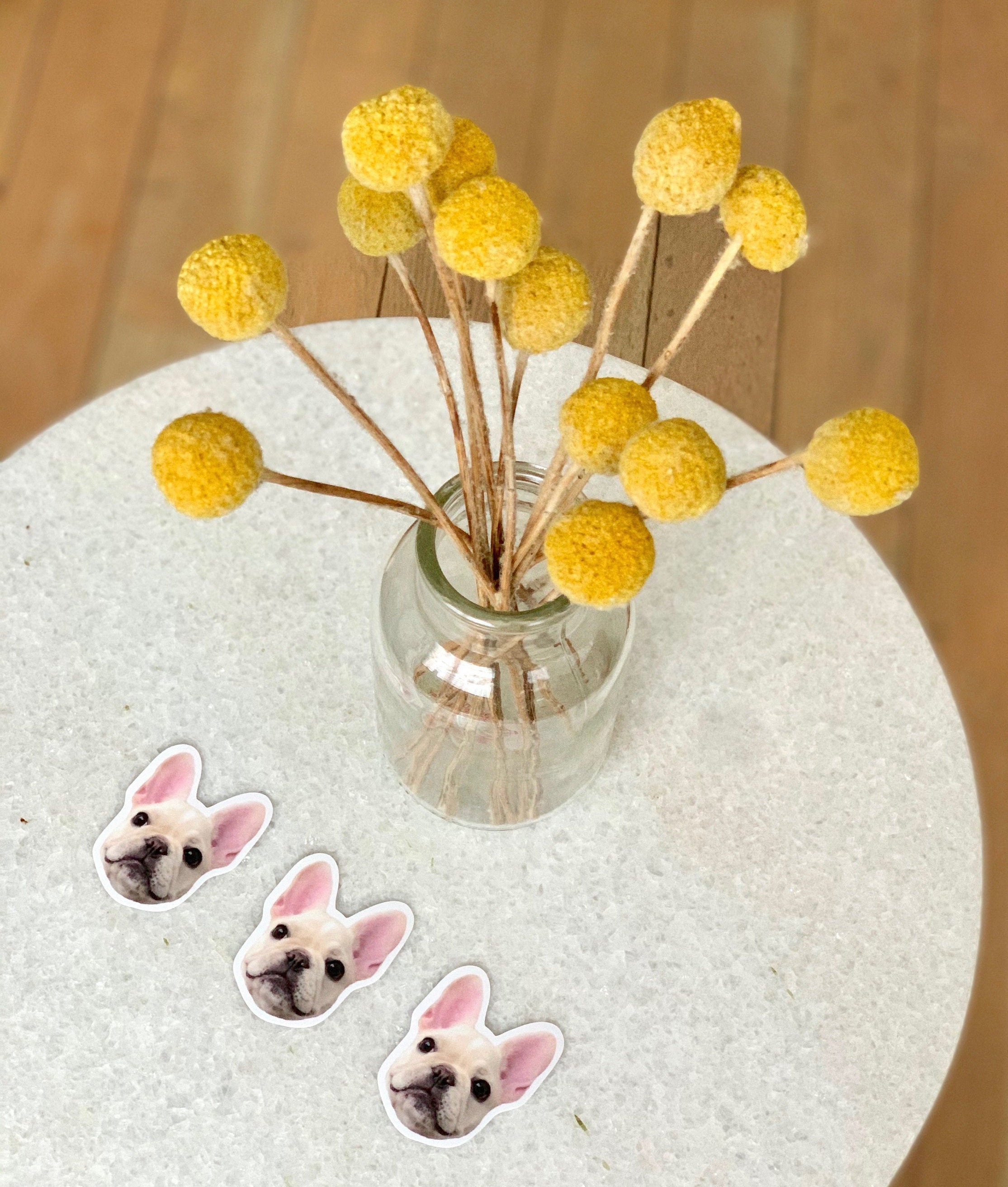 French Bulldog Sticker Frenchie Decal Riley Bellini Stickers for Laptop ...