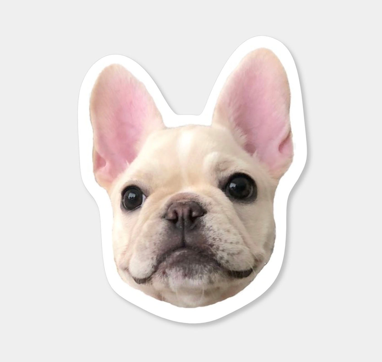 French Bulldog Sticker Frenchie Decal Riley Bellini Stickers for Laptop ...