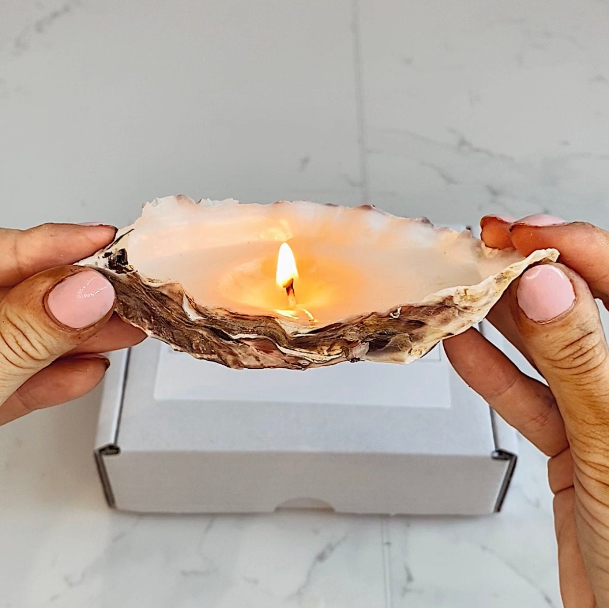 Beach Candles / Pack of 2 or 3 Oyster Shell Candles / Seashell Candles ...