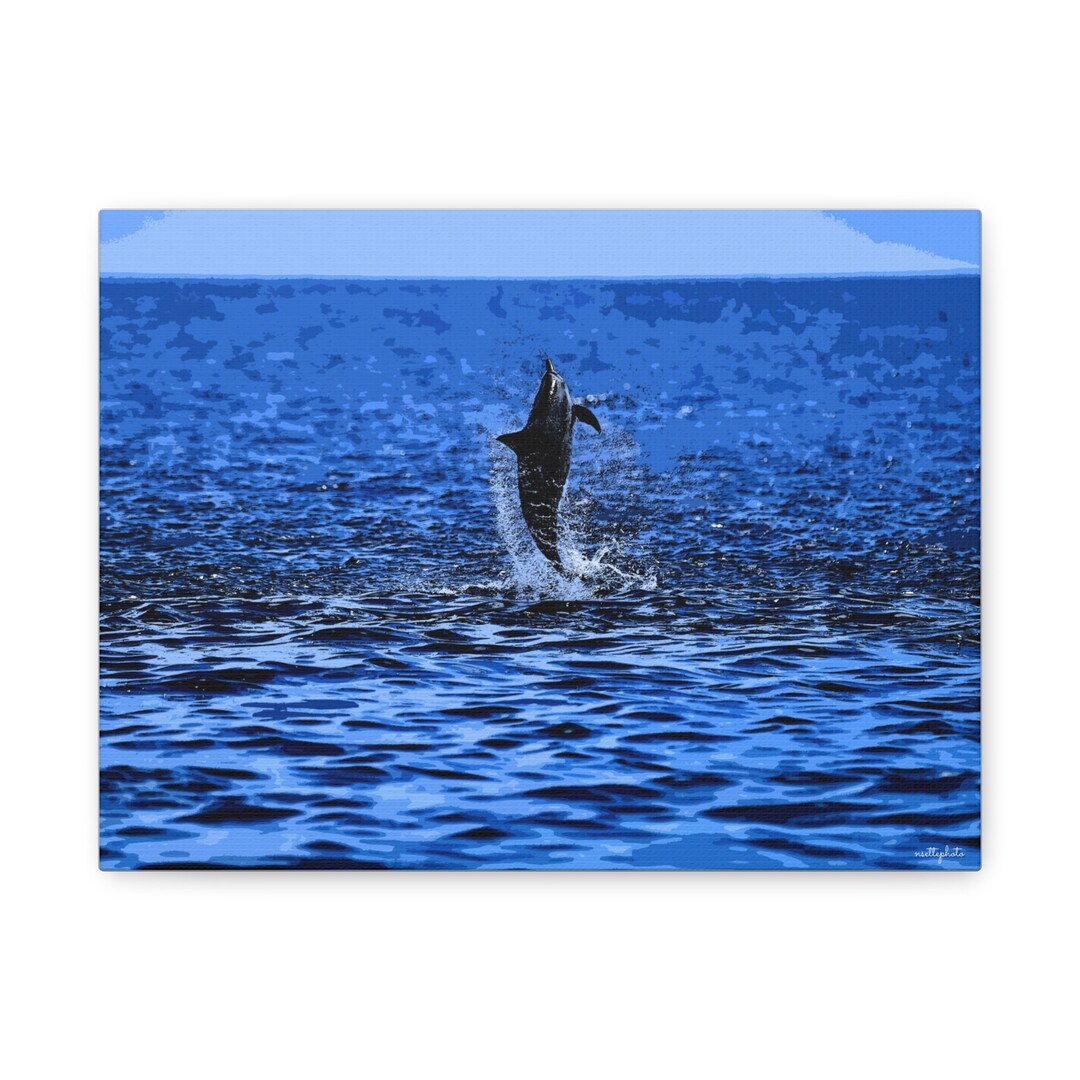 Dolphin Jumping, Big Island, Hawaii, Matte Canvas, Stretched, 1.25" - Etsy