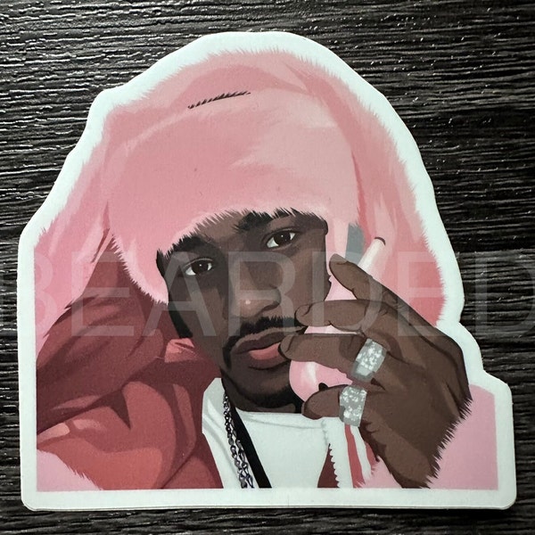 Camron Pink Coat - Etsy UK