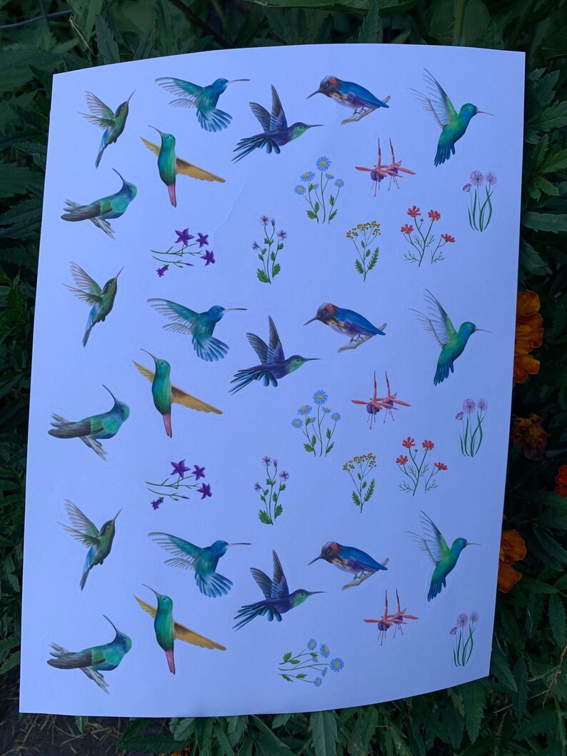 Humming Bird Sticker Sheet, Garden, Flowers, Bird Stickers, Scrapbook ...