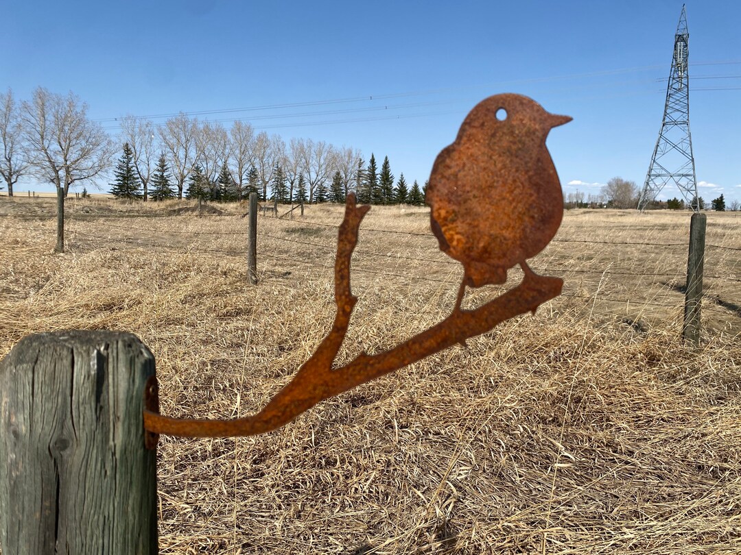 Rusty Corten Steel Bird on Branch - Garden Art Decor - Etsy
