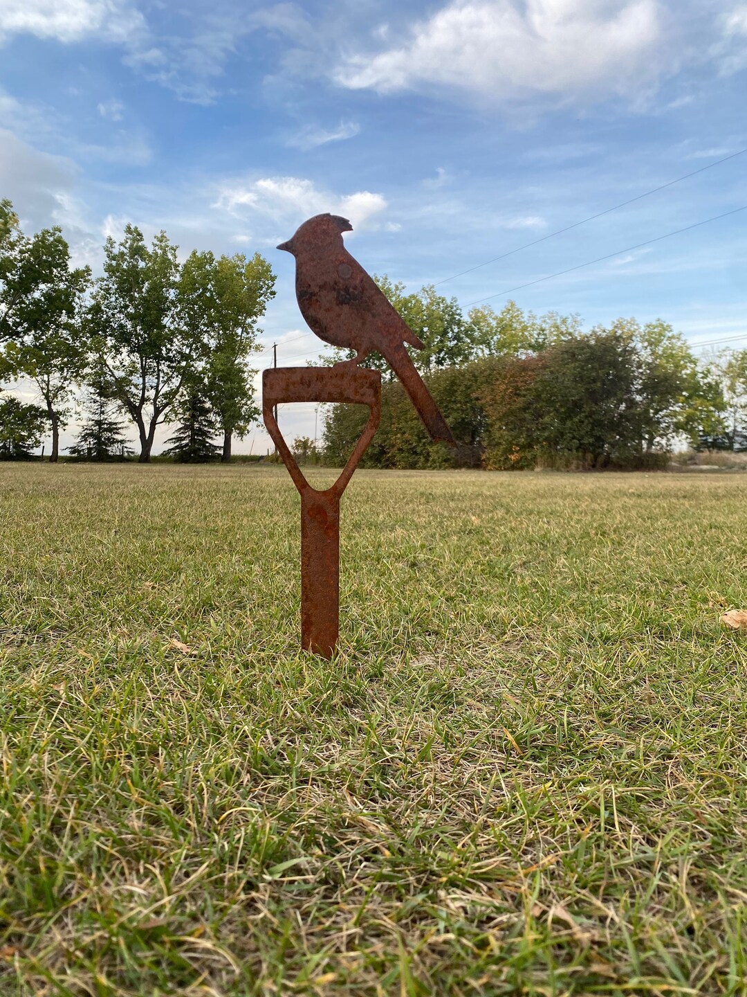 Rusty Blue Jay Yard Decor Art | Blue Jay Lawn Decor | Corten | Garden ...