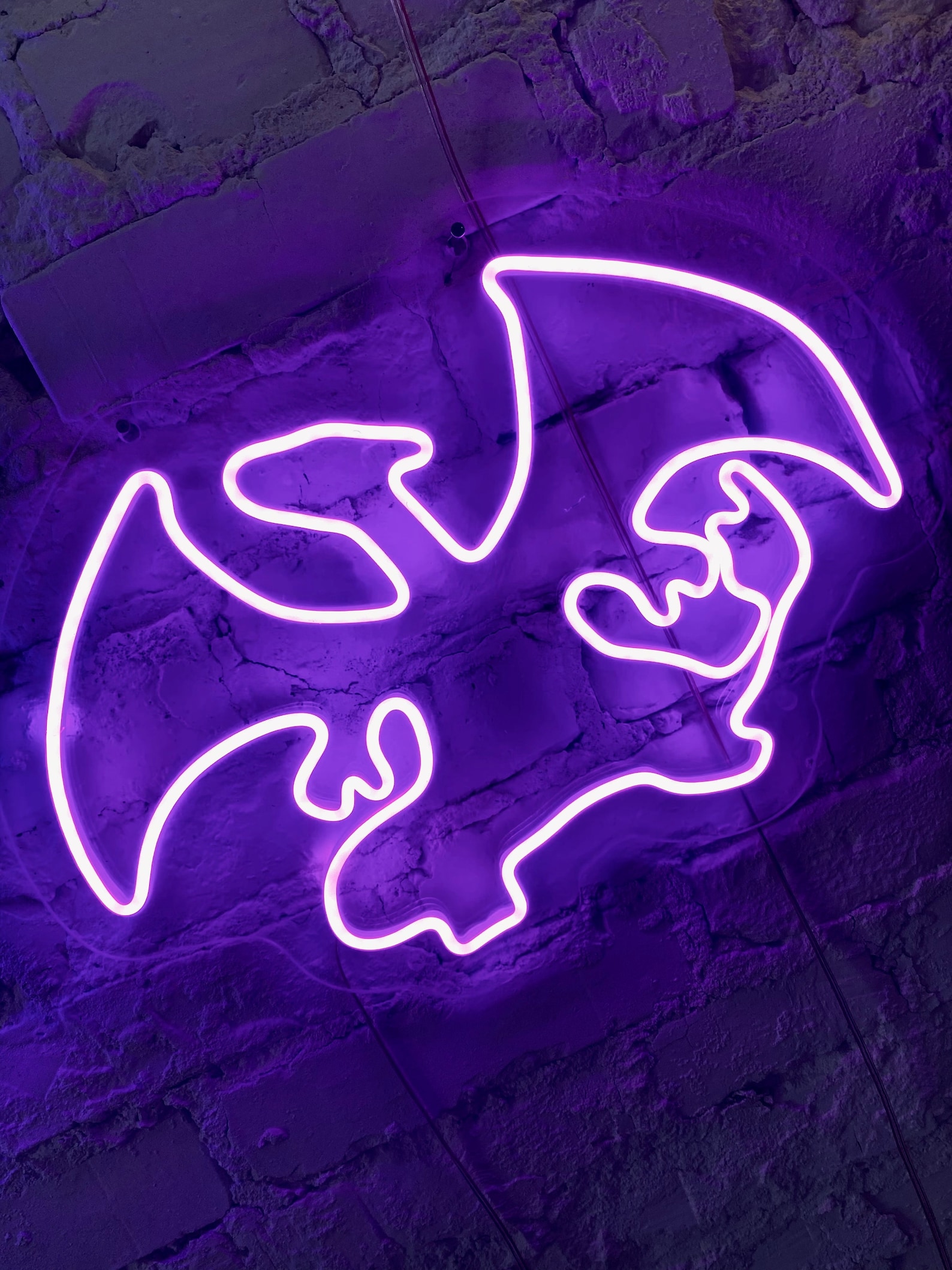 Chinese Neon Sign Japanese Neon Sign Custom Neon Sign Neon - Etsy