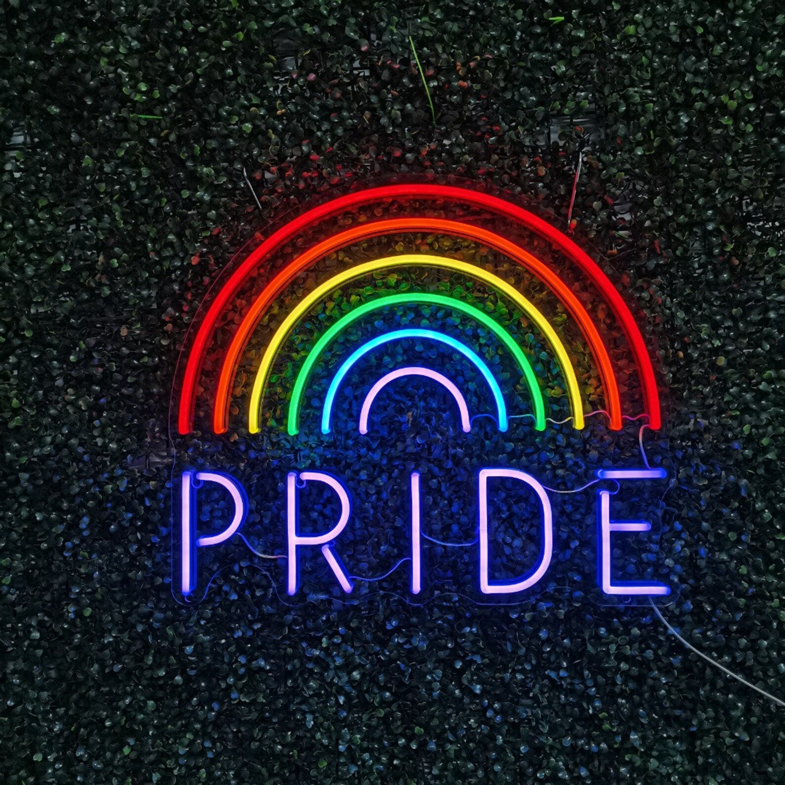 LGBTQ Pride Neon Sign Custom Neon Sign Neon Sign Bedroom - Etsy