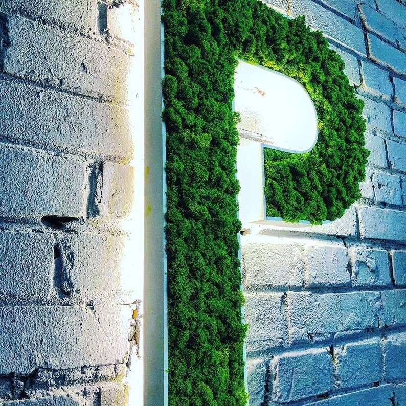 Preserved Moss Letter Boxwood Letter Hedge Letter Greenery Wedding Sign ...