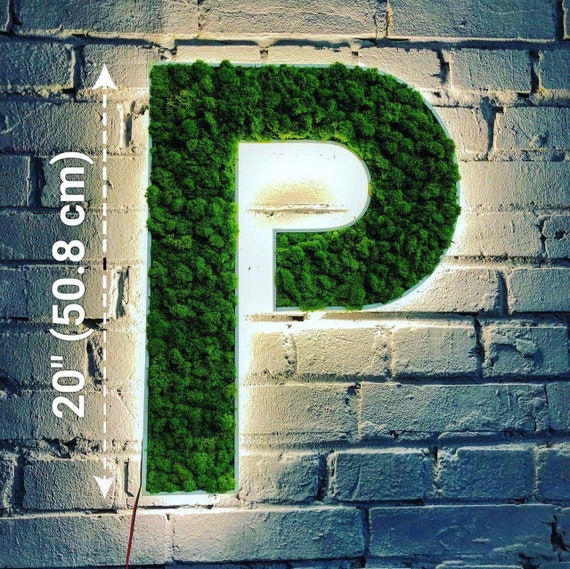 Preserved Moss Letter Boxwood Letter Hedge Letter Greenery | Etsy