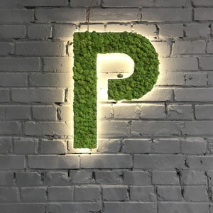 Preserved Moss Letter Boxwood Letter Hedge Letter Greenery Wedding Sign ...