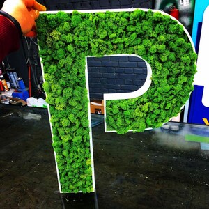 Preserved Moss Letter Boxwood Letter Hedge Letter Greenery Wedding Sign ...