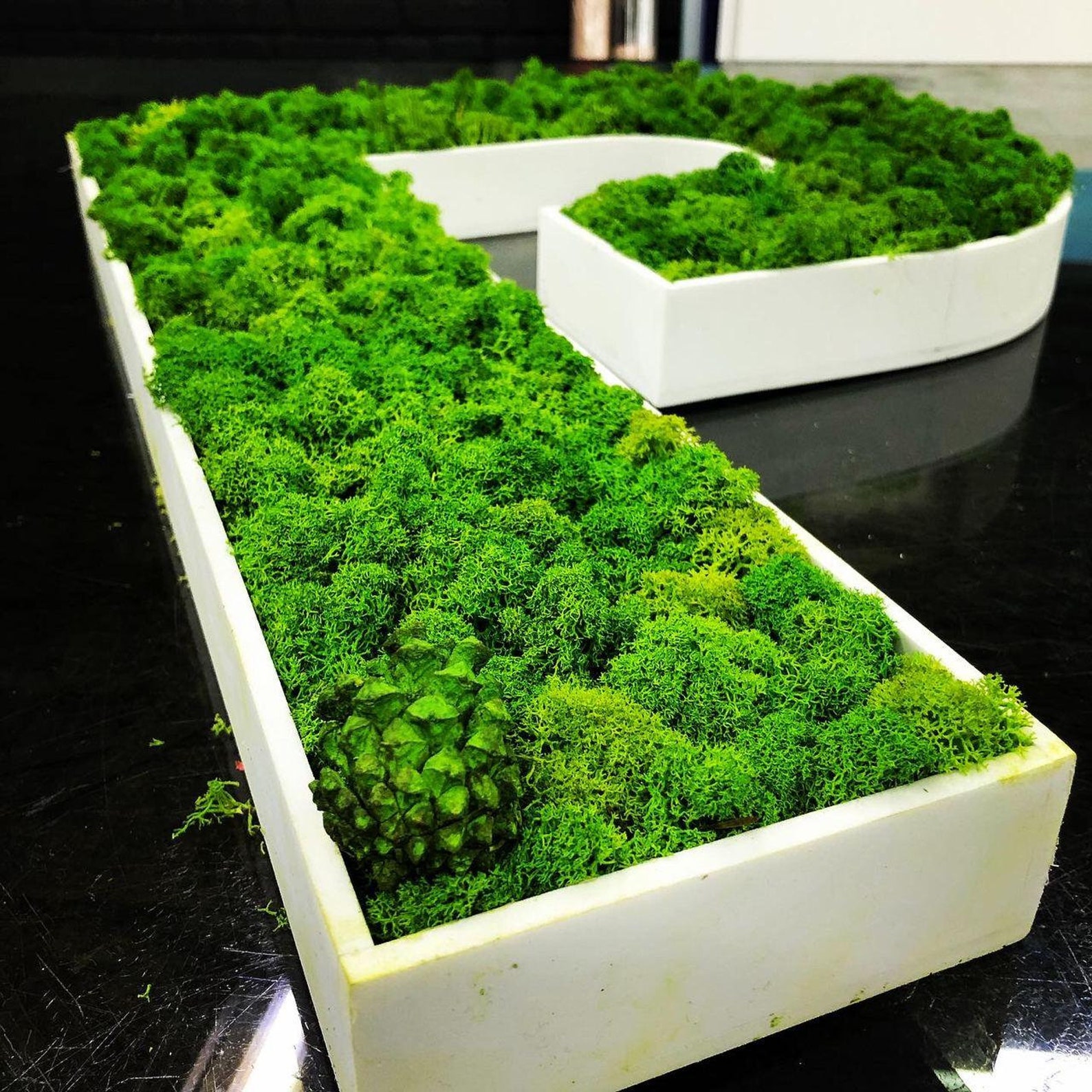 Preserved Moss Letter Boxwood Letter Hedge Letter Greenery Wedding Sign ...