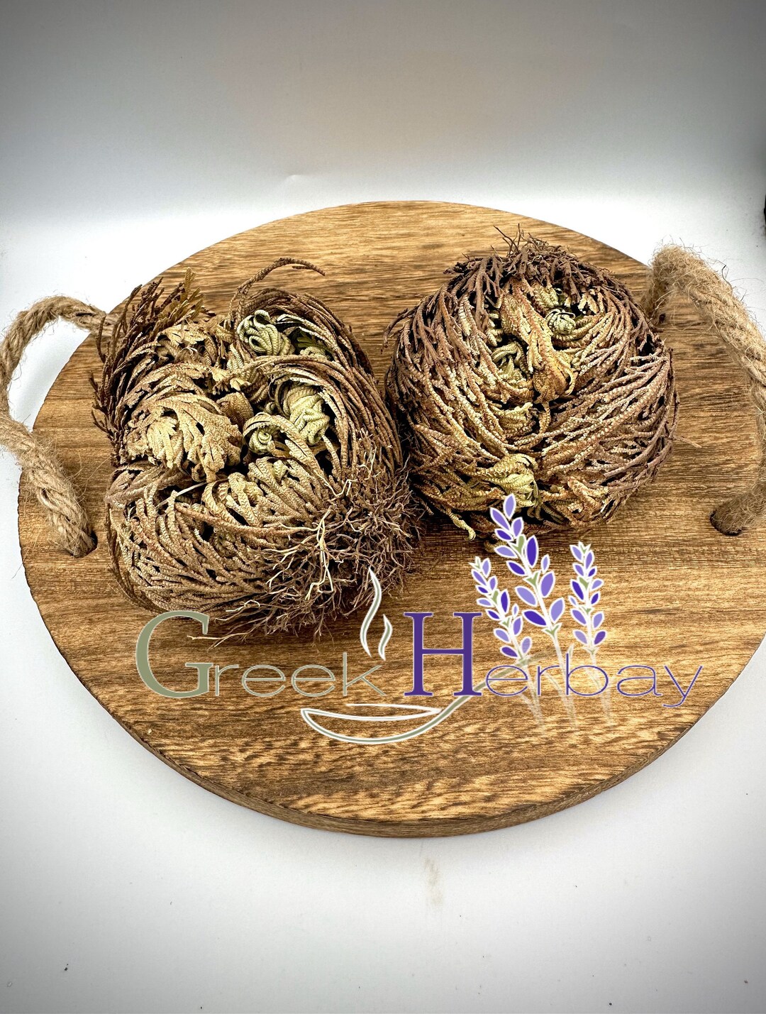 Rose of Jericho Resurrection Flower Jericho Rose Dried Whole Plant ...