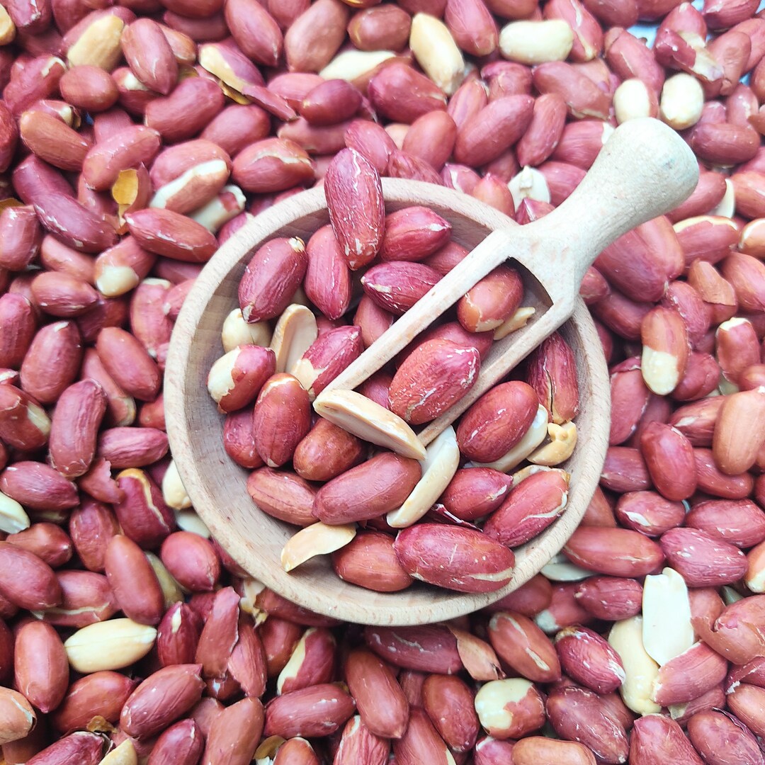 Peanuts no Shell Unsalted & Roasted Superior Quality - Etsy