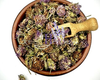 Red Clover Blossom Wildcrafted Organic Red Clover Tea Trifolium ...