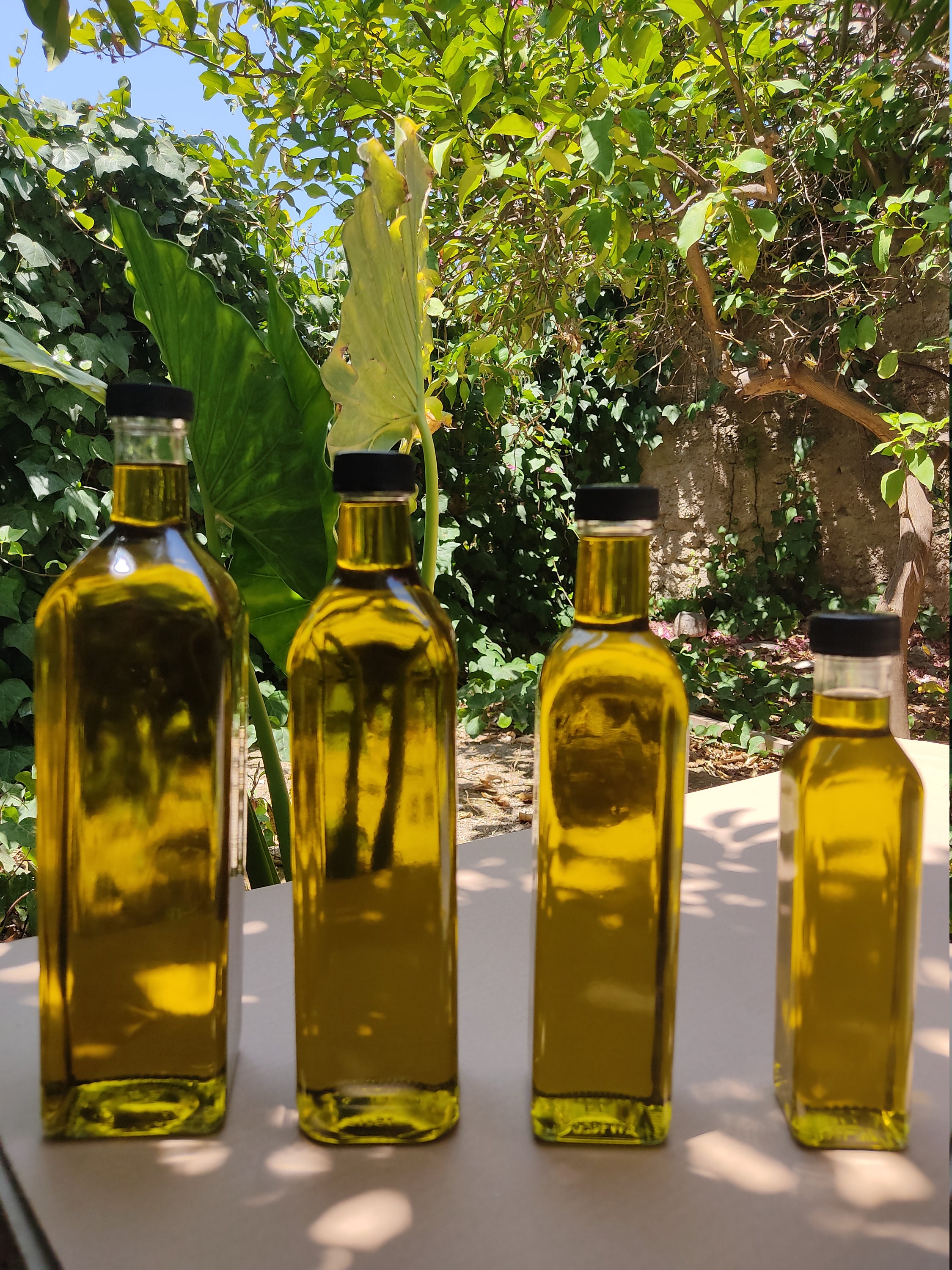 Greek Olive Oil