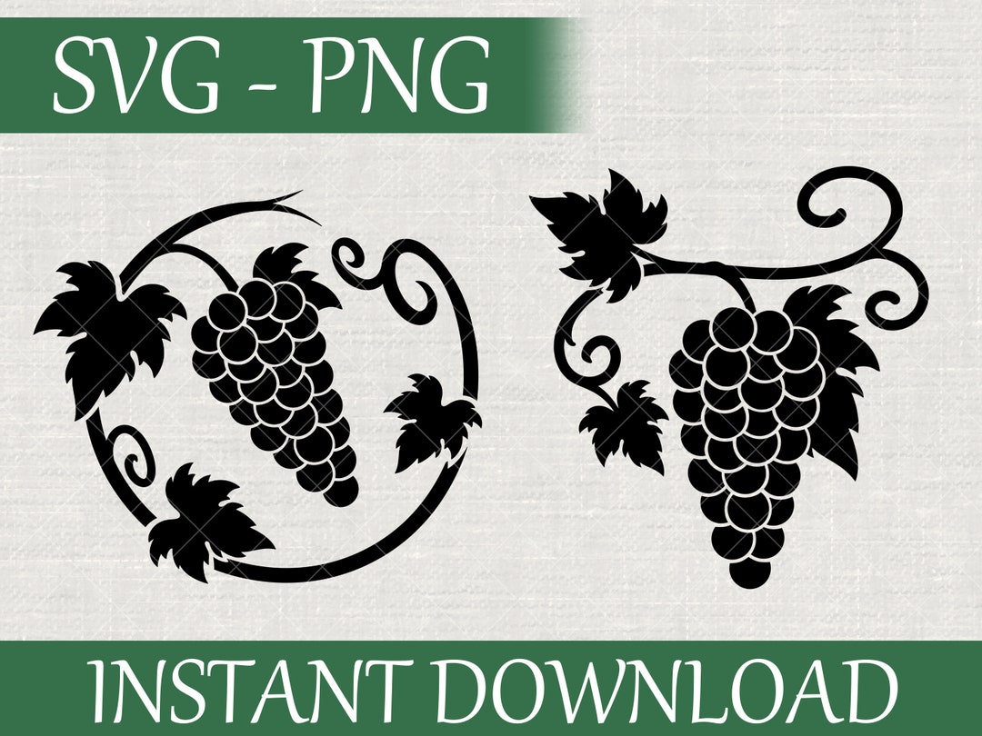 Grape PNG Clipart Grape Leaves SVG Grape Vine SVG Vine - Etsy