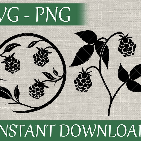 Raspberry Svg - Etsy