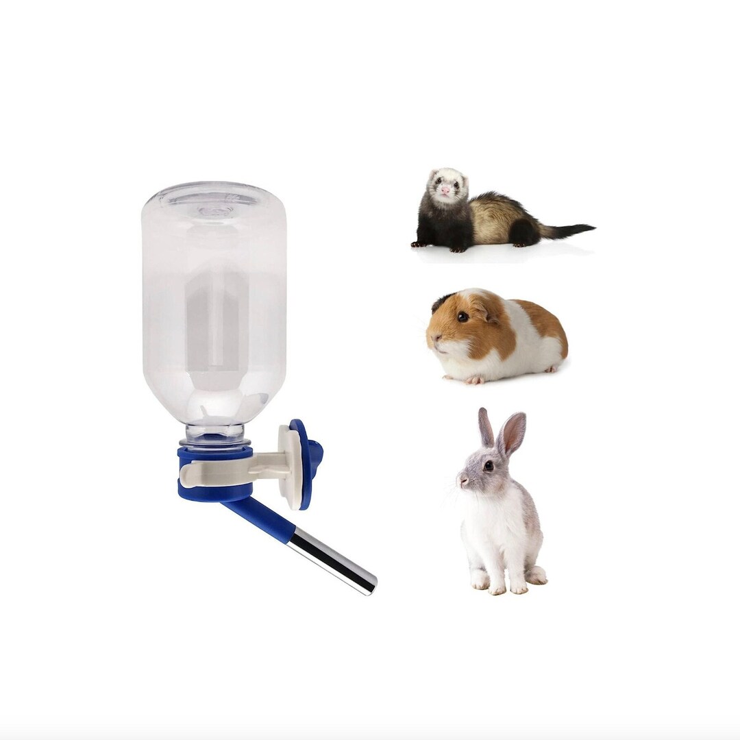 Guinea Pig Water Bottle Guinea Pig And Rat Water Dispenser - DRINKY ...