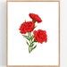 Scarlet Carnation Illustration Print / Printable / Art / Digital ...