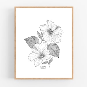 hawaii state flower coloring pages