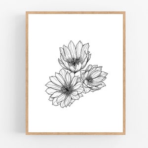 Bitterroot Ink Sketch Print / Printable / Art / Digital Download / Pen ...