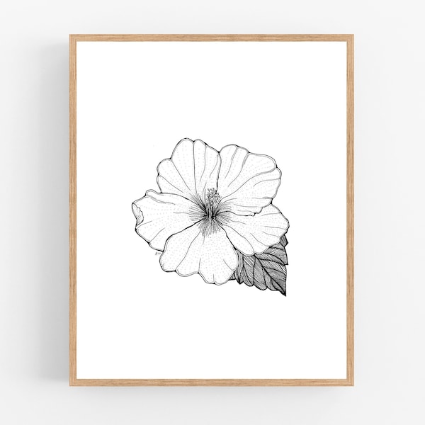 Flor De Maga Sketch - Etsy