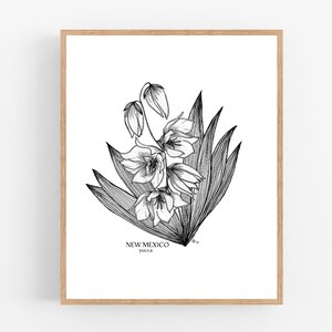 New Mexico Yucca Black Ink Illustration / Yucca Print Drawing ...
