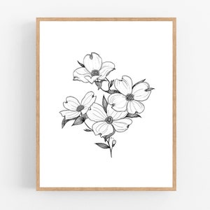 pasque flower drawing easy